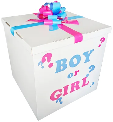 Gender Reveal Box Ideas Gender Reveal Box DIY And Details From Our